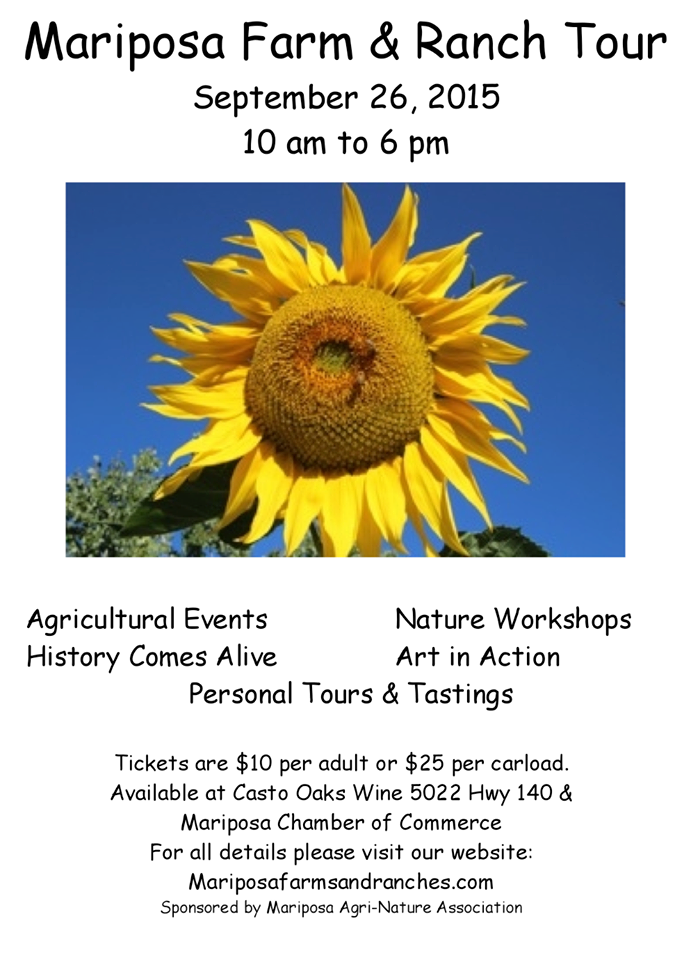 Wizard's Workshop & Forge